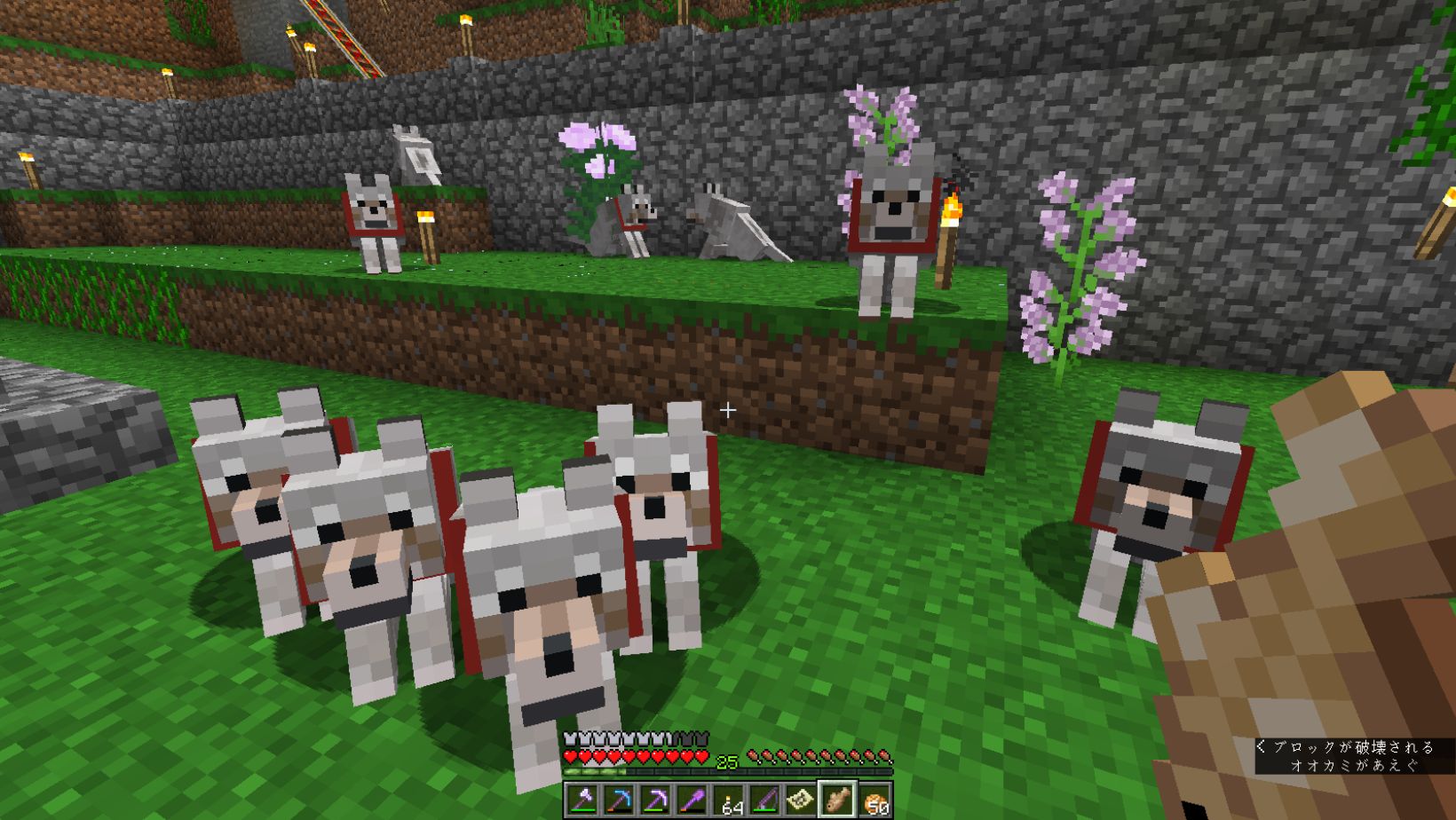 Simple Tips on How to Tame an Ocelot in Minecraft - The Portable Gaming